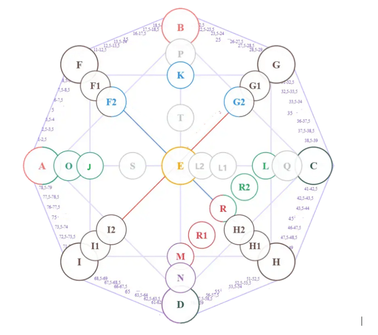 Calcula la matriz del destino - La Matriz del Destino